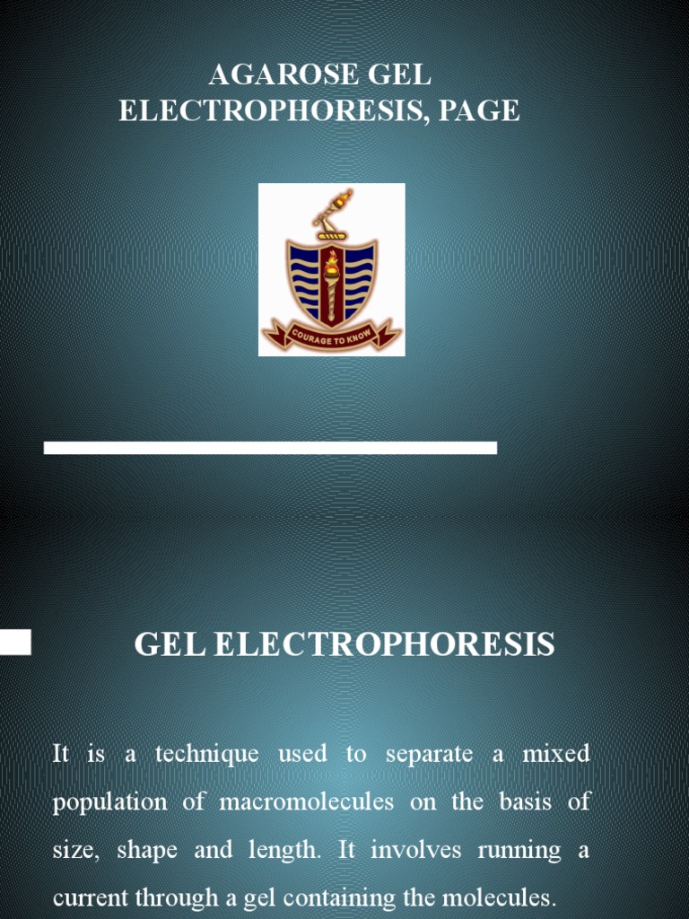 Gel Electroiphoresis | PDF | Gel Electrophoresis | Agarose Gel ...