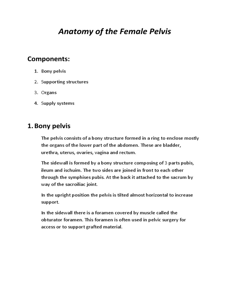 Female Pelvis Anatomy Overview | PDF | Pelvis | Urinary Bladder