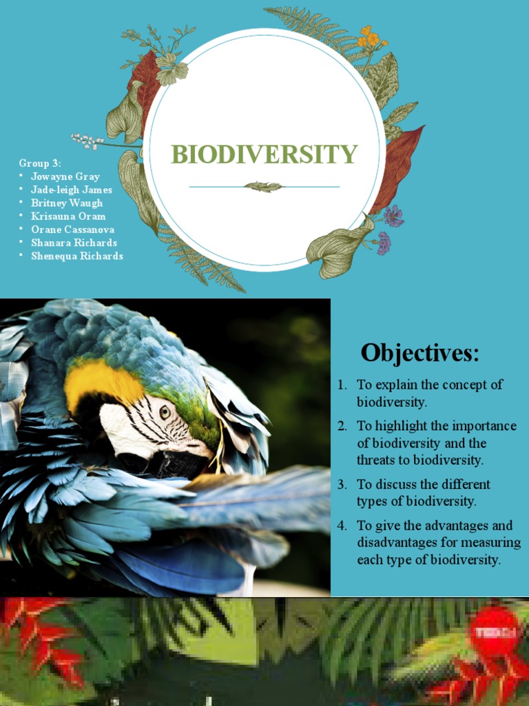 Biodiversity Pdf Biodiversity Ecosystem