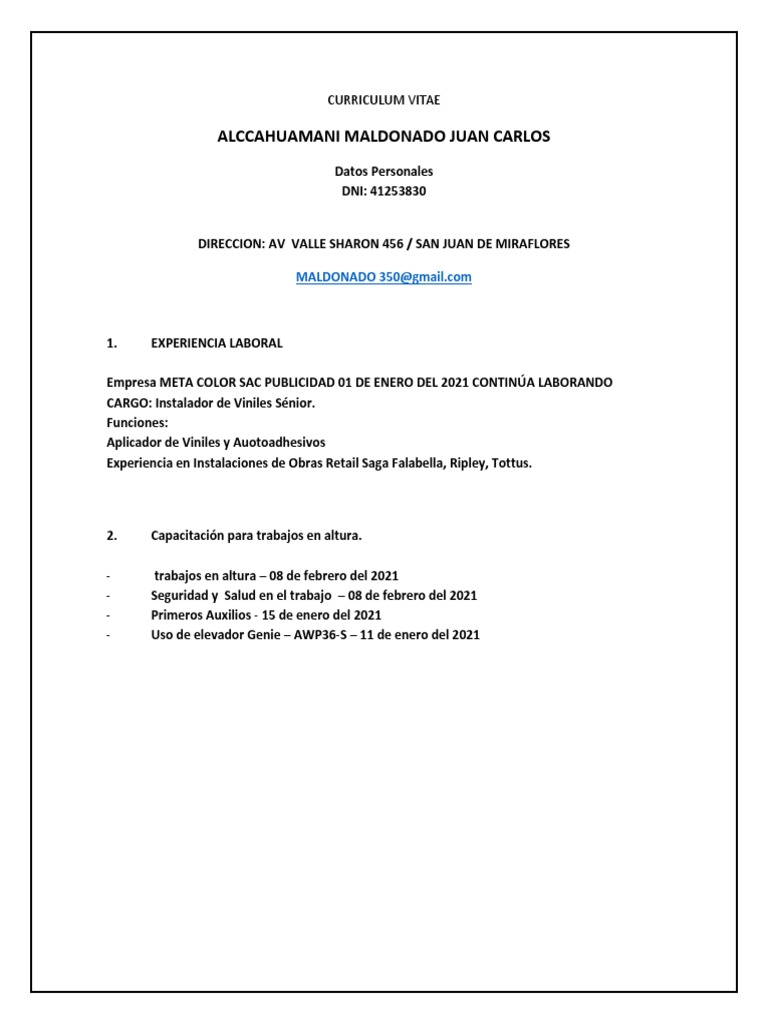 CV Alccahuamani Maldonado | PDF