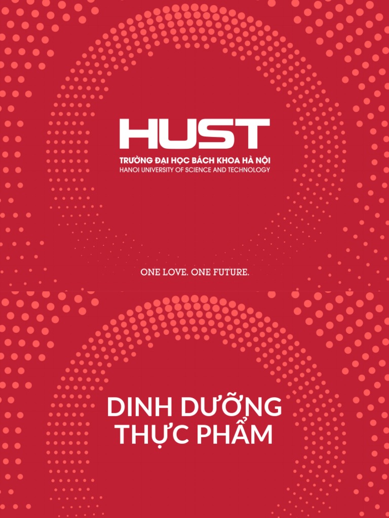 Hust PPT Template 2021 (Red 3x4) | PDF