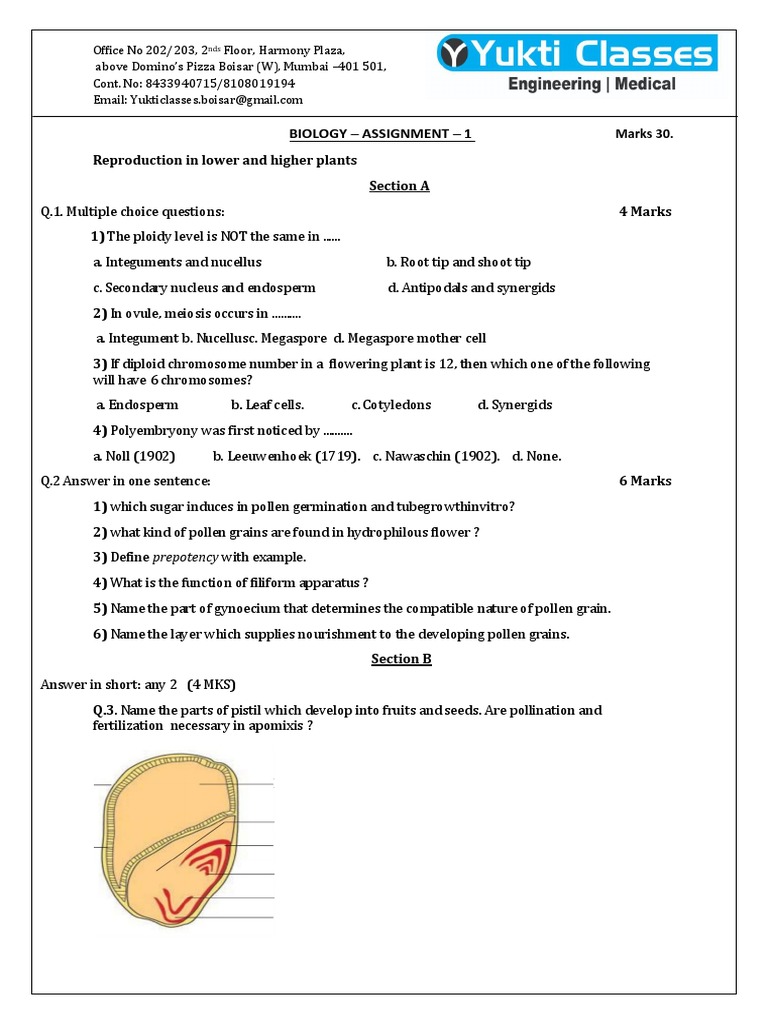 Biology Assignment on Plant Reproduction | PDF | Plants | Horticulture