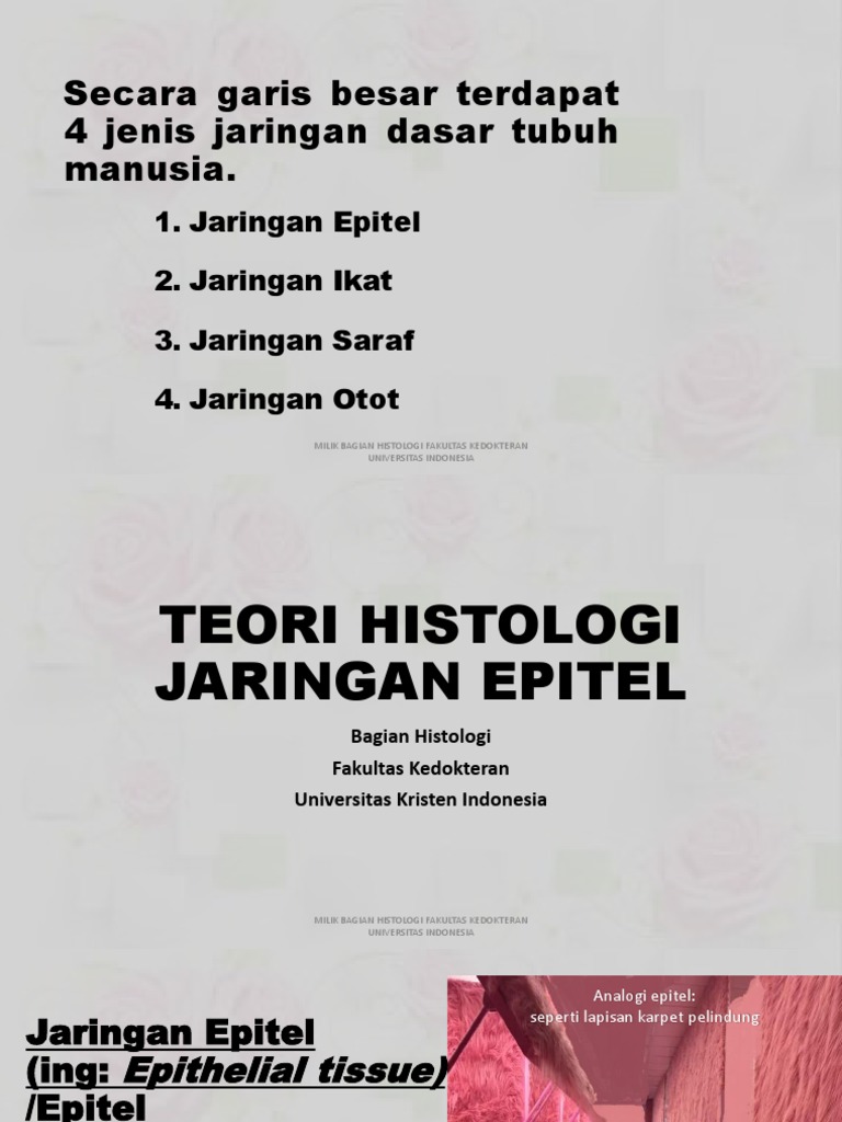 Epitel dan Tubulus Uriniferus | PDF