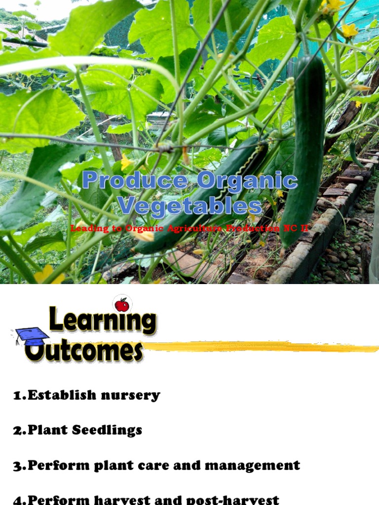 MTJ OAP NC II Produce Organic Vegetables | PDF | Pest (Organism) | Compost MTJ OAP NC II Produce Organic Vegetables | PDF | Pest (Organism) | Compost