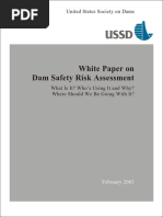 Rapid Risk Screening of Specified Dams | PDF | Risk | Dam
