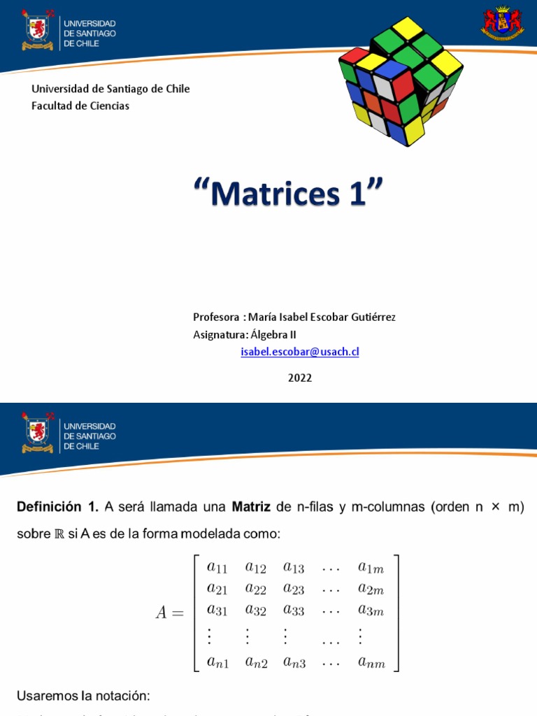 Presentación 2 - Matrices 1 - 02.2022 | PDF