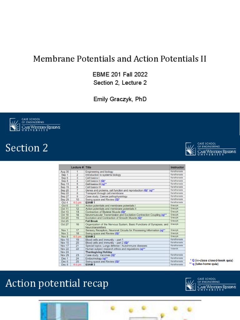 Sec2 Lec2 ActionPotentials 2022 v2 | Download Free PDF | Action Potential | Skeletal Muscle