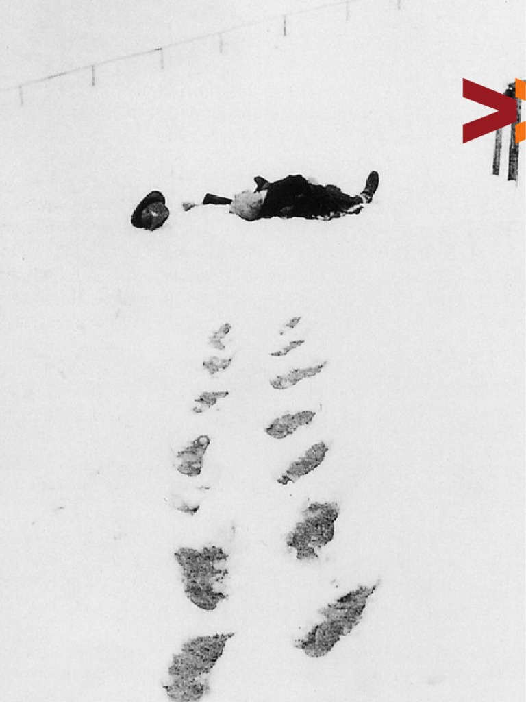 Luigi Amara, Sobre Robert Walser | PDF | Poesía