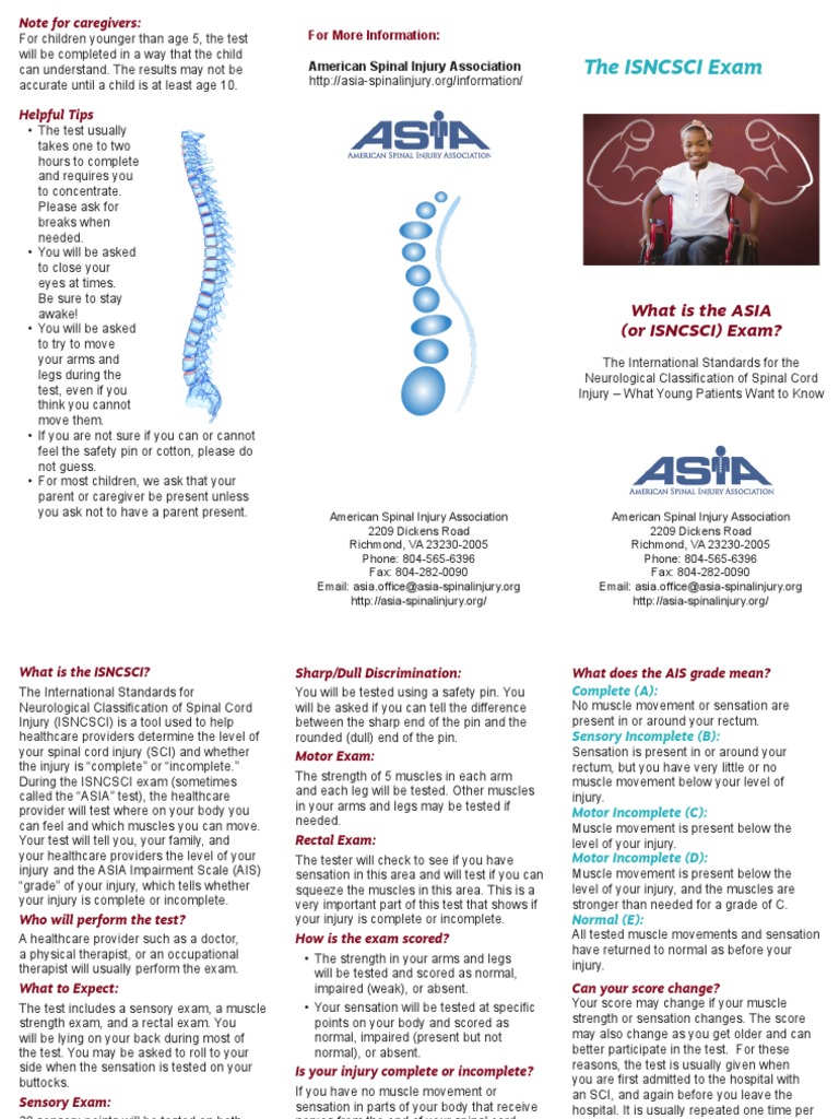 ASIA - Exam - Pediatric Brochure 11 16 17 | Download Free PDF | Spinal ...