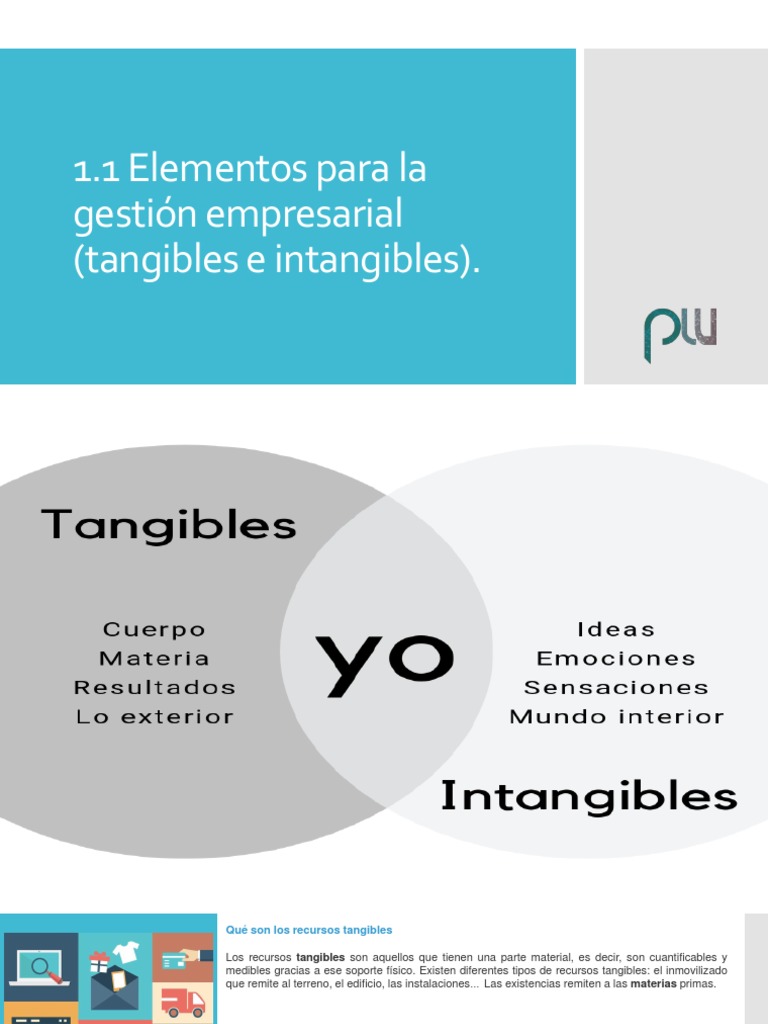 Gestión de recursos tangibles e intangibles en las empresas | PDF