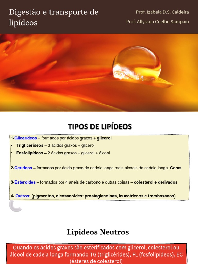 Digestão e Transporte de Lipídeos | PDF | Lipídio | Triglicerídeo