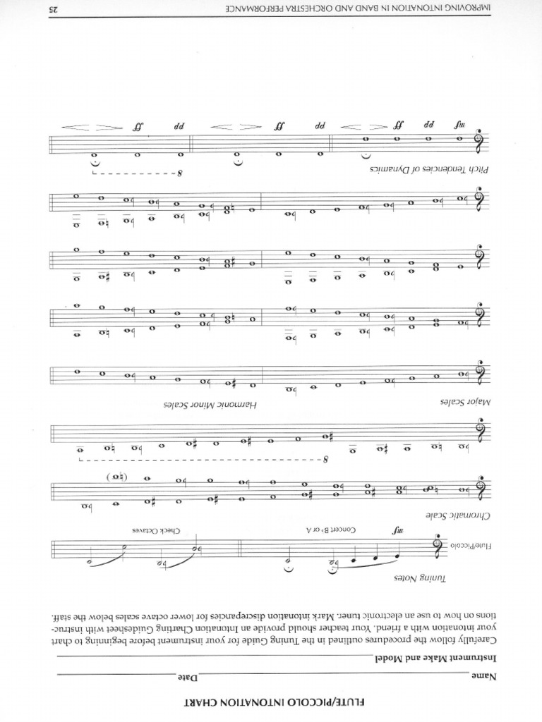 Flute Tuning Guide | PDF