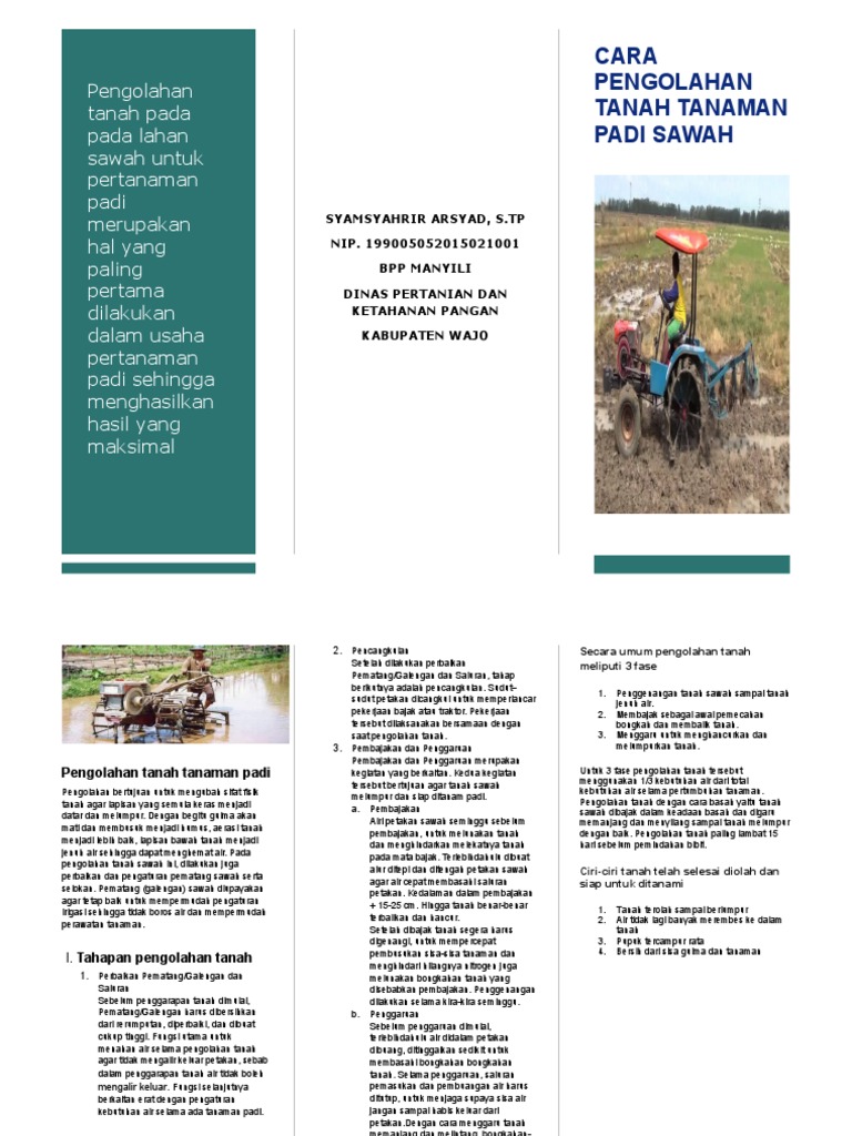 Tahapan Pengolahan Tanah Sawah Padi | PDF