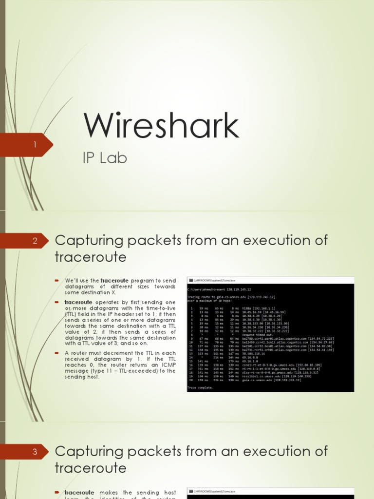 IP Wireshark Lab | PDF | Internet Protocols | Internet Architecture