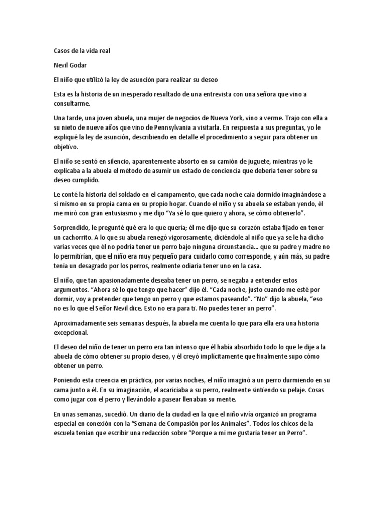 El niño y su perro: un deseo cumplido | PDF