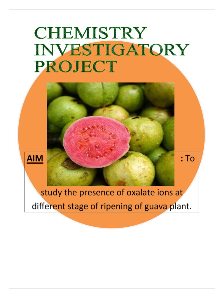 To Study Oxalate Ion in Guava | PDF | Titration | Chemistry
