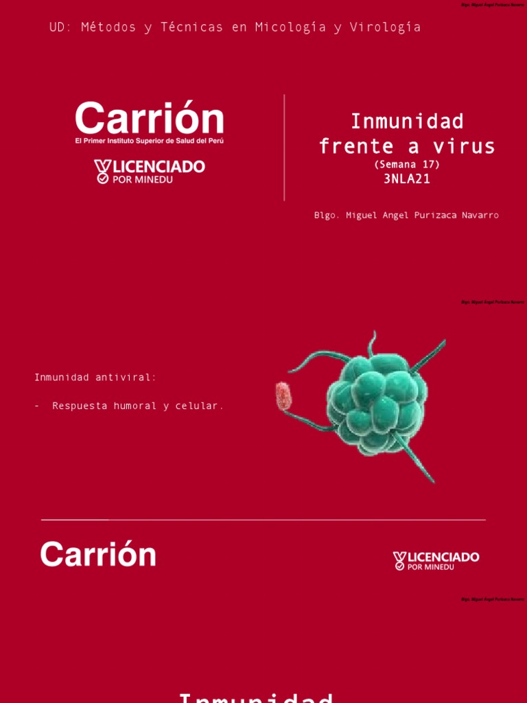 Inmunidad Frente Virus | PDF | Sistema inmune | Linfocitos