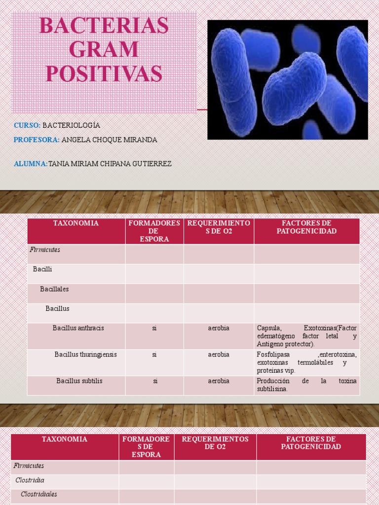 Bacterias Gram Positivas | PDF | Bacilo | Especialidades Medicas