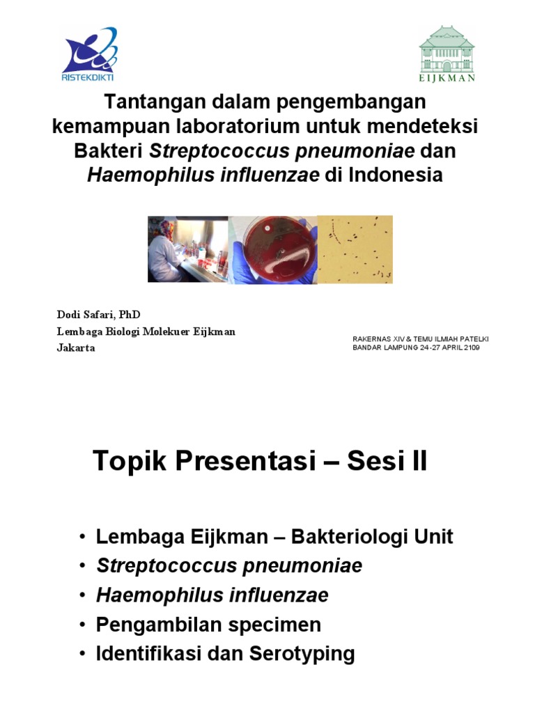 Dodi Streptococcus-Haemophilus-SESI-II | PDF