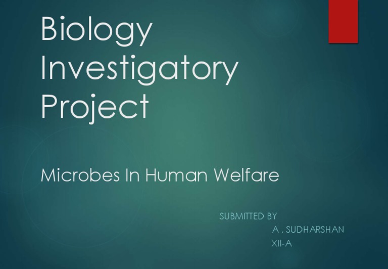 Biology Investigatory Project | PDF | Social Science | Science ...