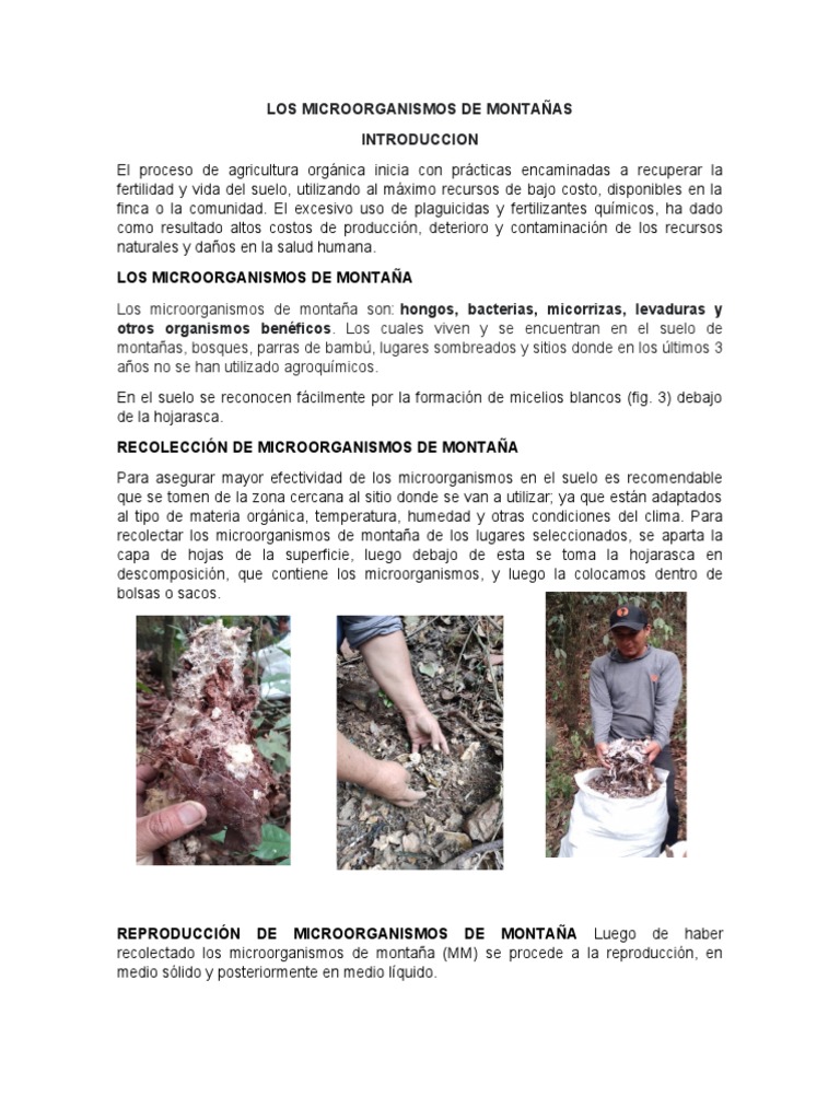 Los Microorganismos de Montañas | PDF | Suelo | Microorganismo