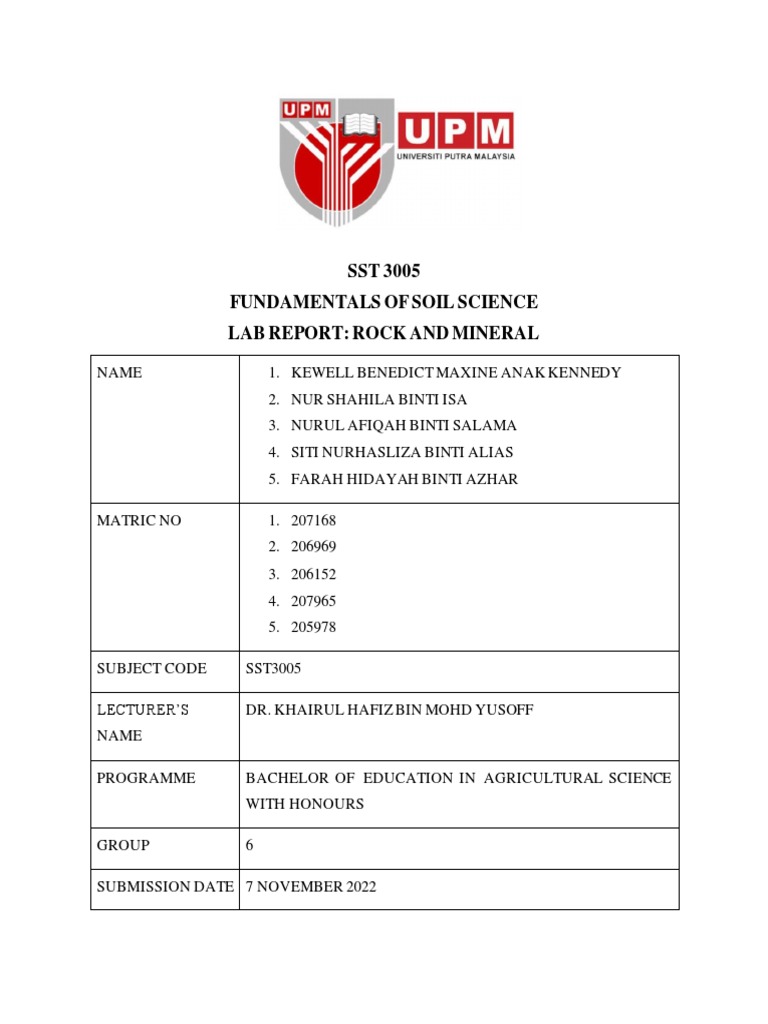 SST3005 Rocks and Mineral Report G6 | PDF | Rock (Geology) | Soil