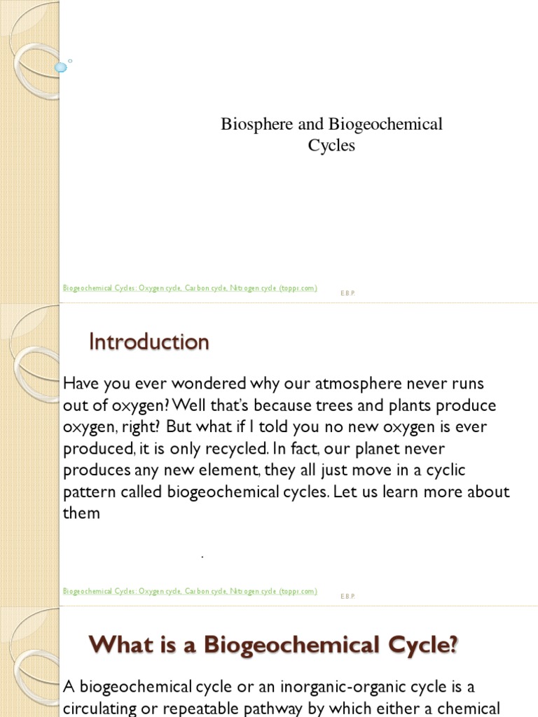 Biogeochemical Cycle | PDF | Carbon Cycle | Oxygen