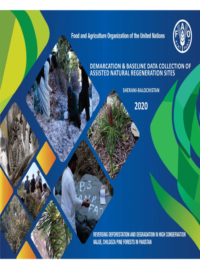 Assisted Natural Regeneration Survey of Chilgoza Forest Suleiman ...