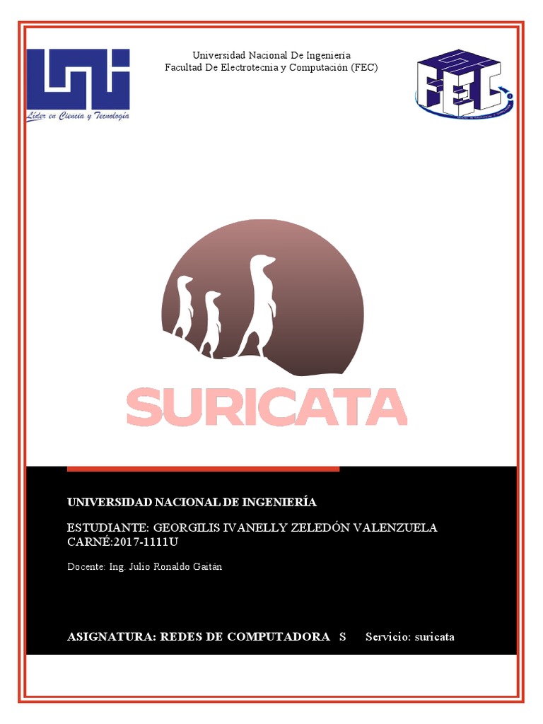 Informe Suricata | PDF | Red de computadoras | Enrutador (Computación)