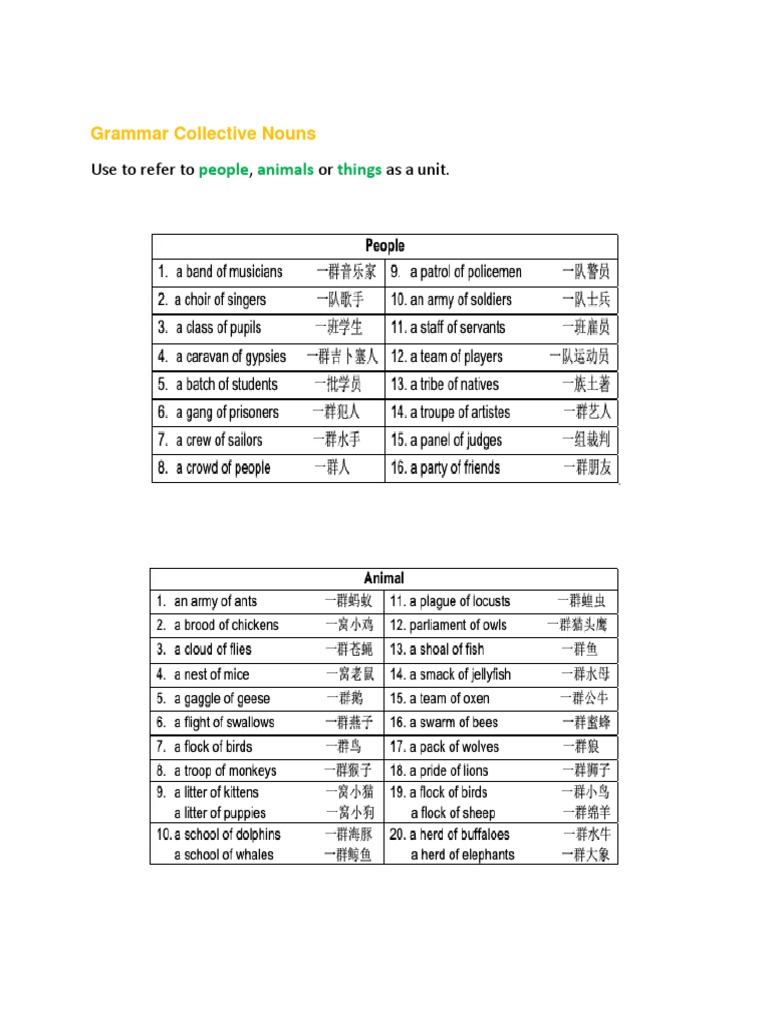 Understanding Collective Nouns in Grammar | PDF