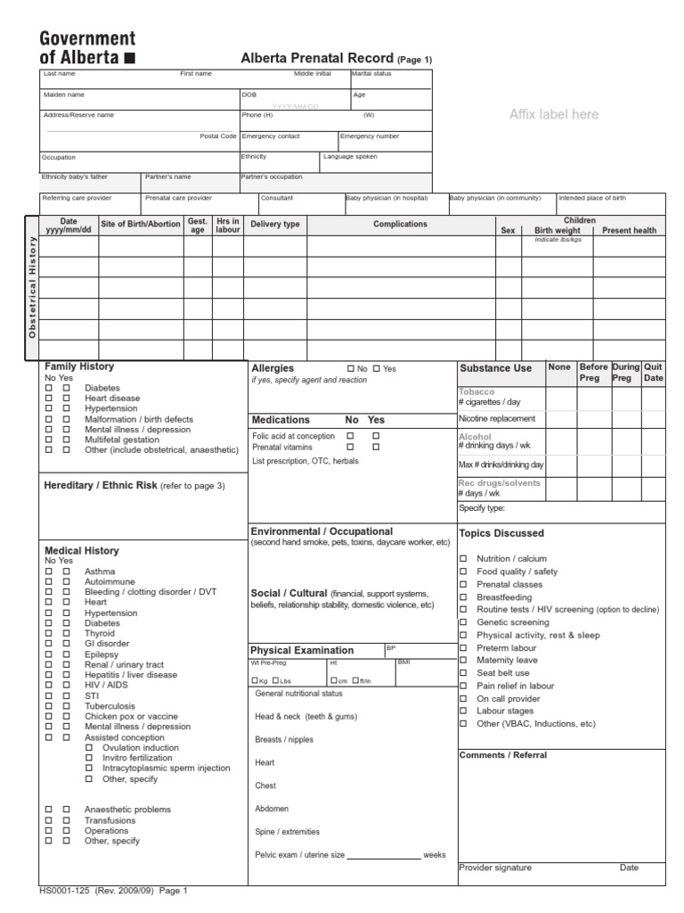 Prenatal Record | PDF | Pregnancy | Fetus