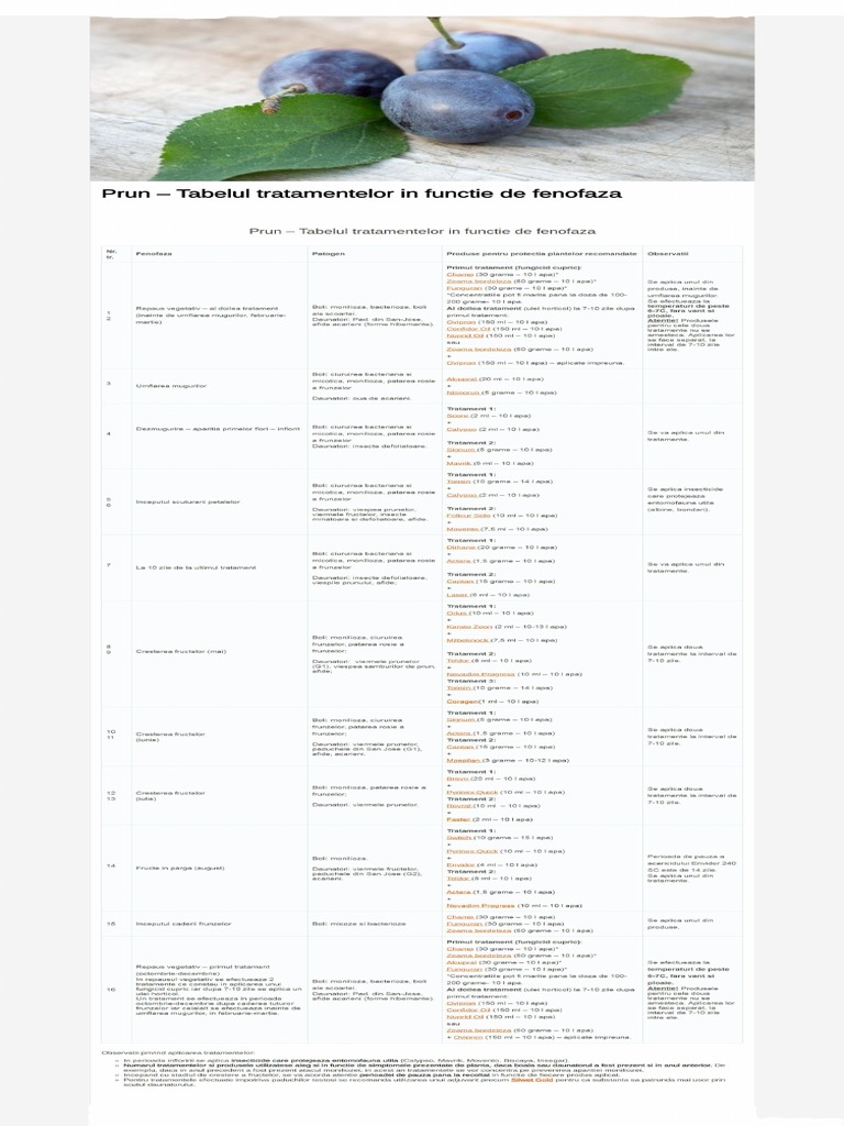 Prun - Tabelul Tratamentelor in Functie de Fenofaza | PDF