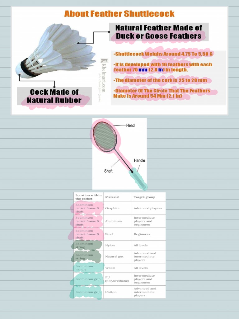 Infografik_badminton | PDF