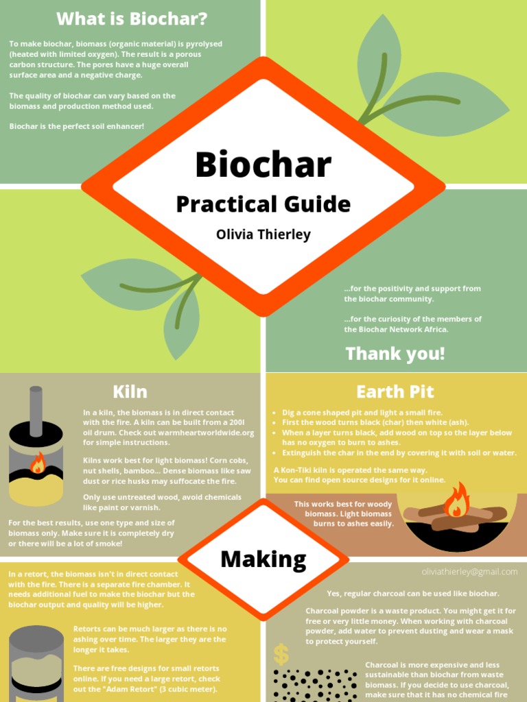 Biochar Practical Guide | PDF | Soil | Charcoal