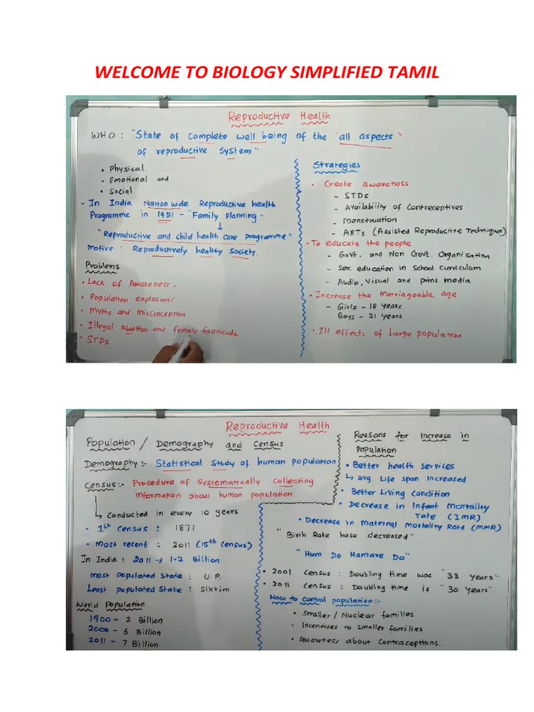 Bio Notes BST | PDF