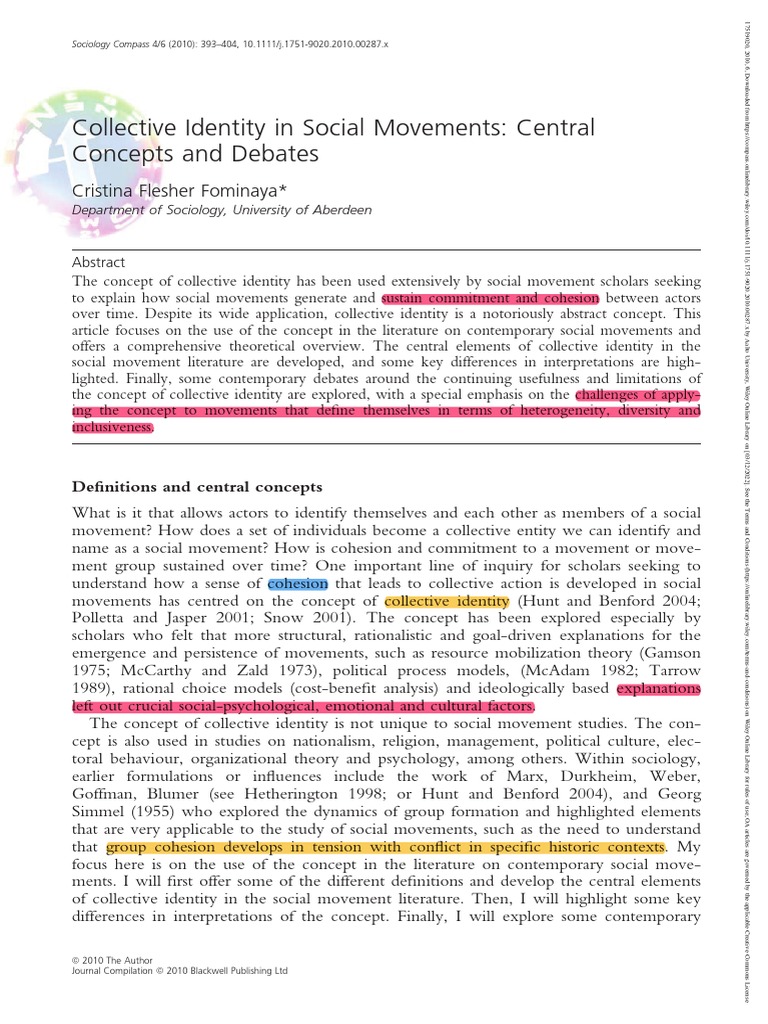 Collective Identity in Social Movements | PDF | Identity (Social ...