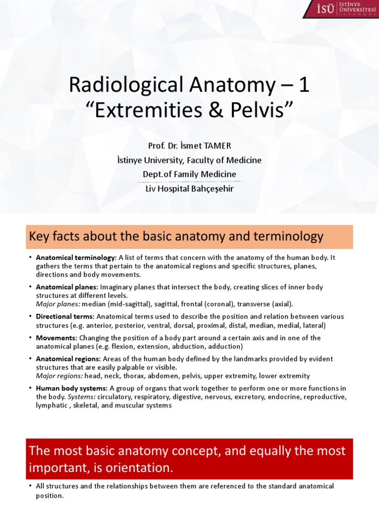 Intro To Diagnostic Imaging - 2 - Prof - Dr.i̇smet TAMER | PDF | Ankle | Human Leg