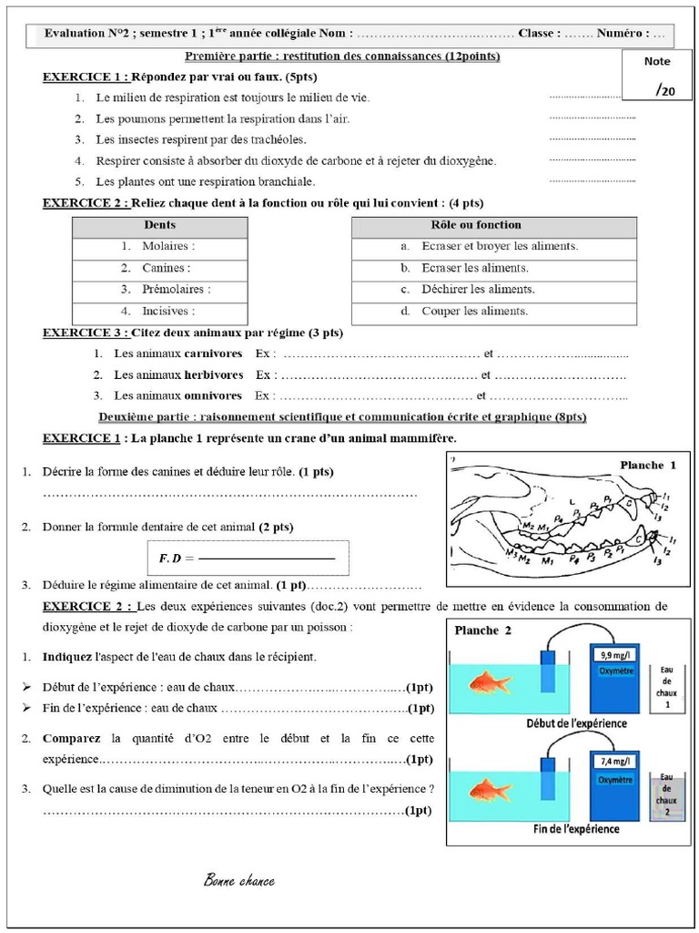 Contrôle N°2 - SVT - 1AC - Semestre 1 2 | PDF