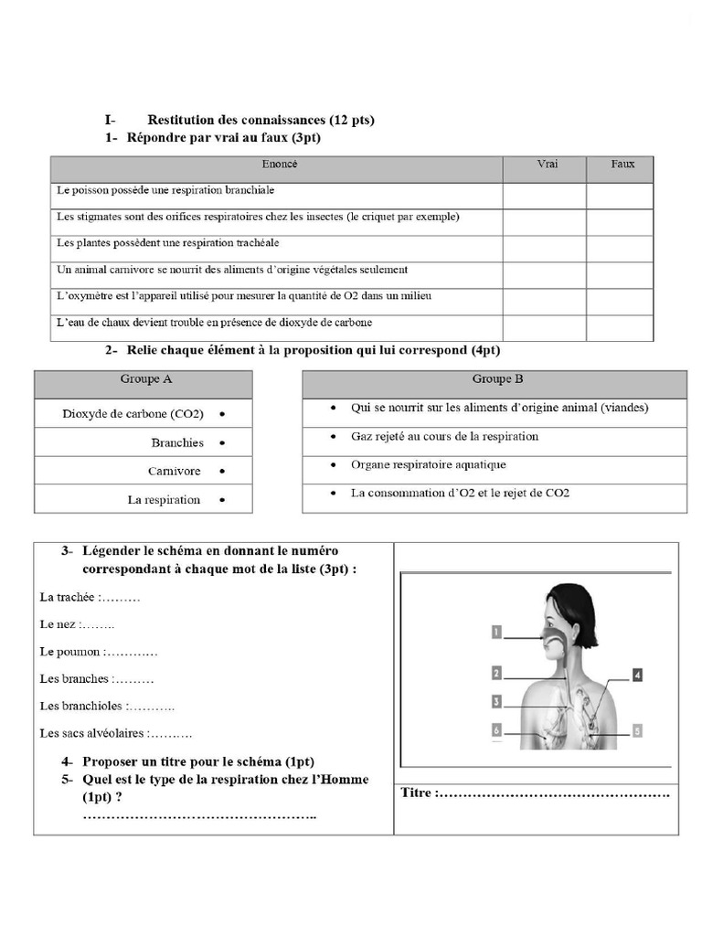 Contrôle N°2 - SVT - 1AC - Semestre 1 (Model 2) | PDF