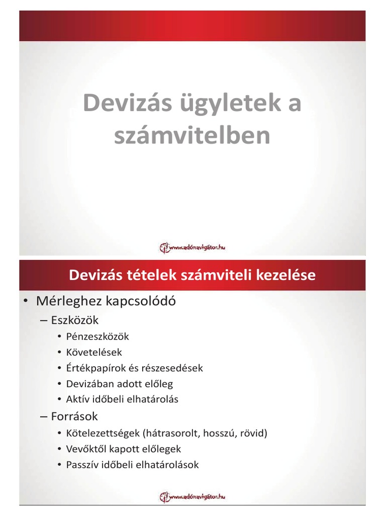 Devizás Tételek Számviteli Kezelése BVZS Jegyzet | PDF