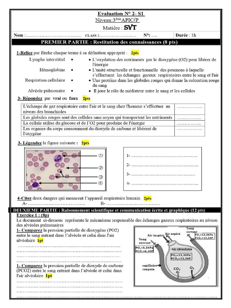 Devoir N°2 Semestre 1 SVT 3AC | PDF