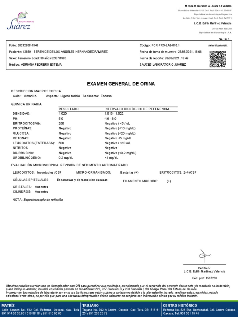 Resultados de Examen de Orina y Filamento Mucoide | PDF ...