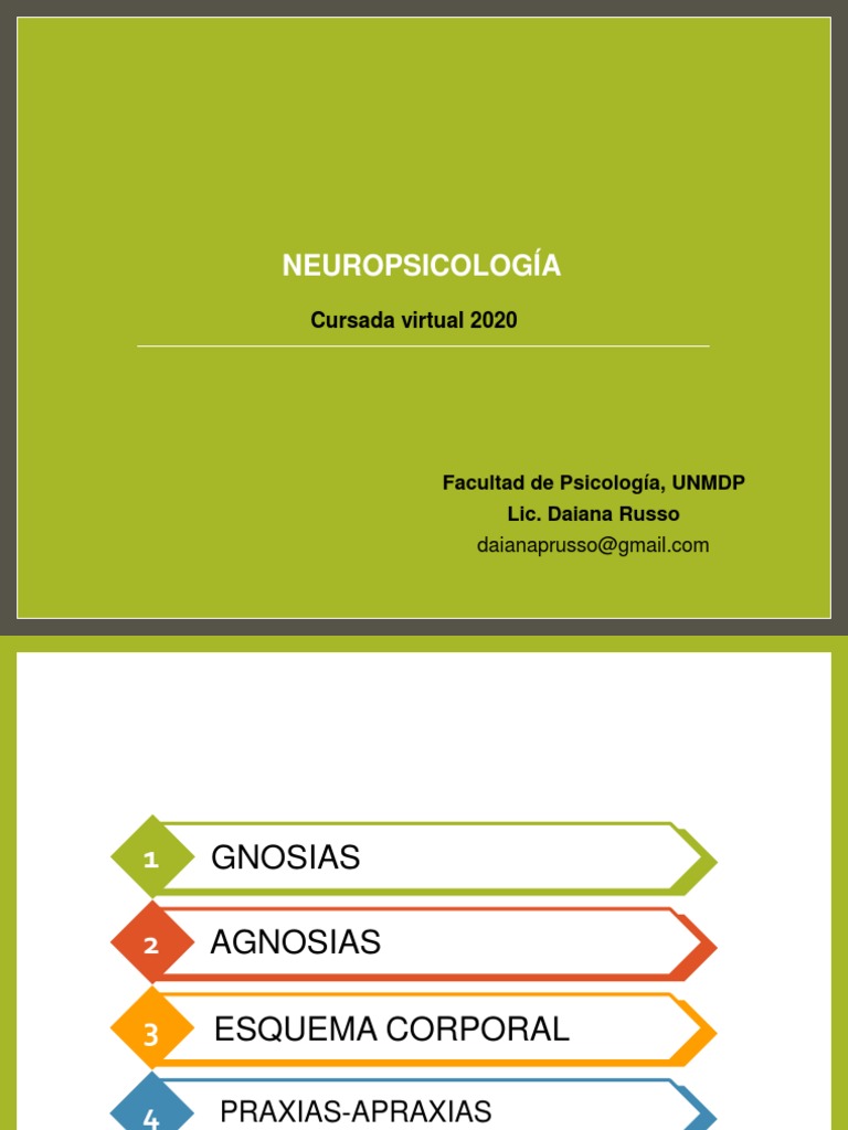 Tipos de Gnosias y Agnosias | PDF | Procesos mentales | Cognición