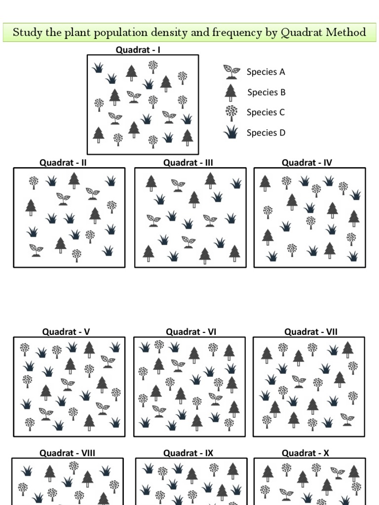 Quadrat Method | PDF | Statistics
