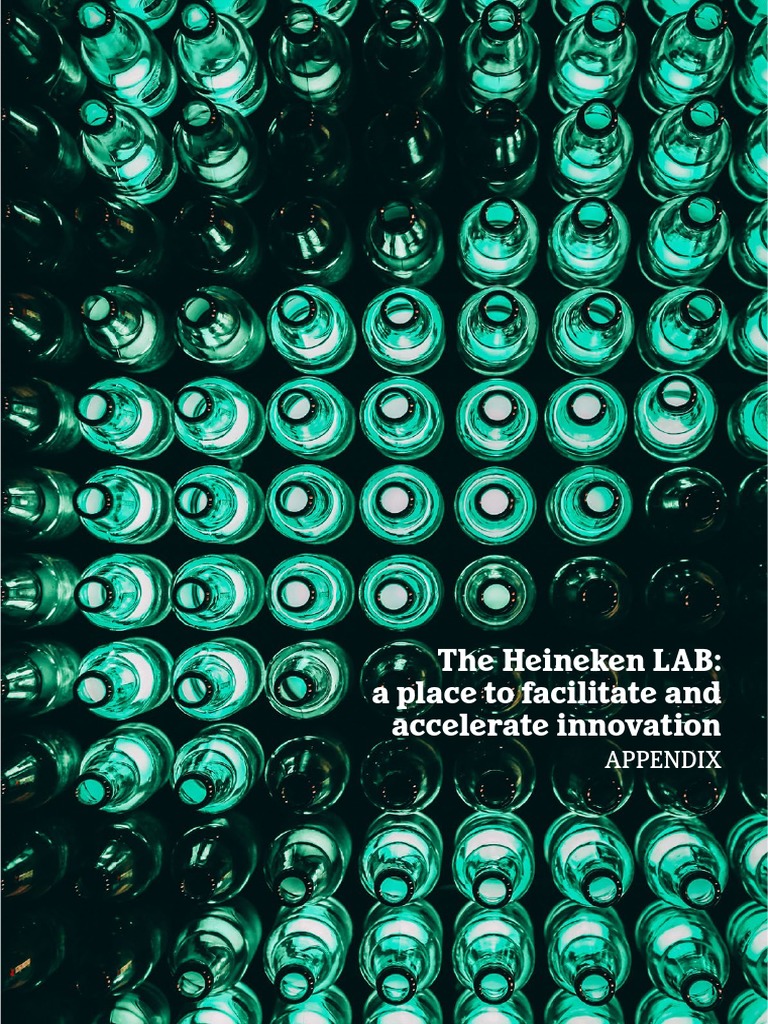 Appendix Heineken LAB Report Auke Nieuwsma | PDF | Brand | Millennials