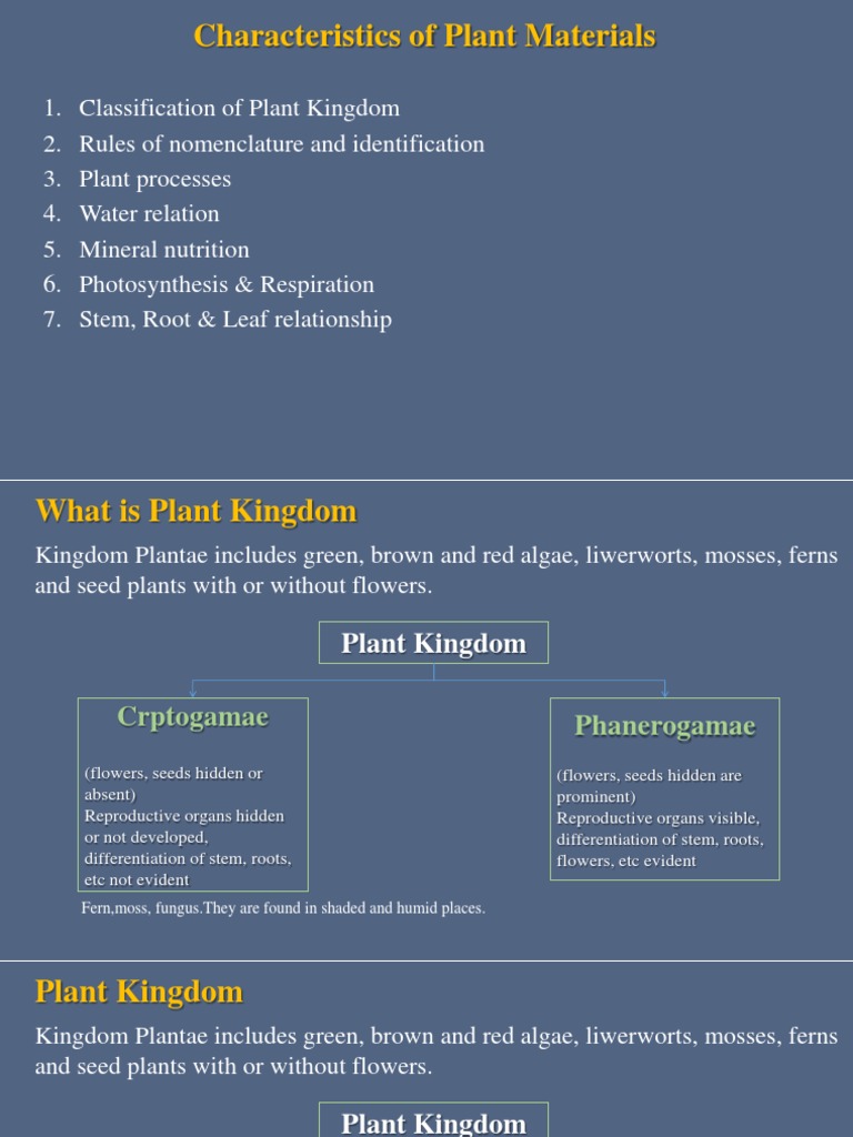 The Classification and Characteristics of the Plant Kingdom | PDF ...