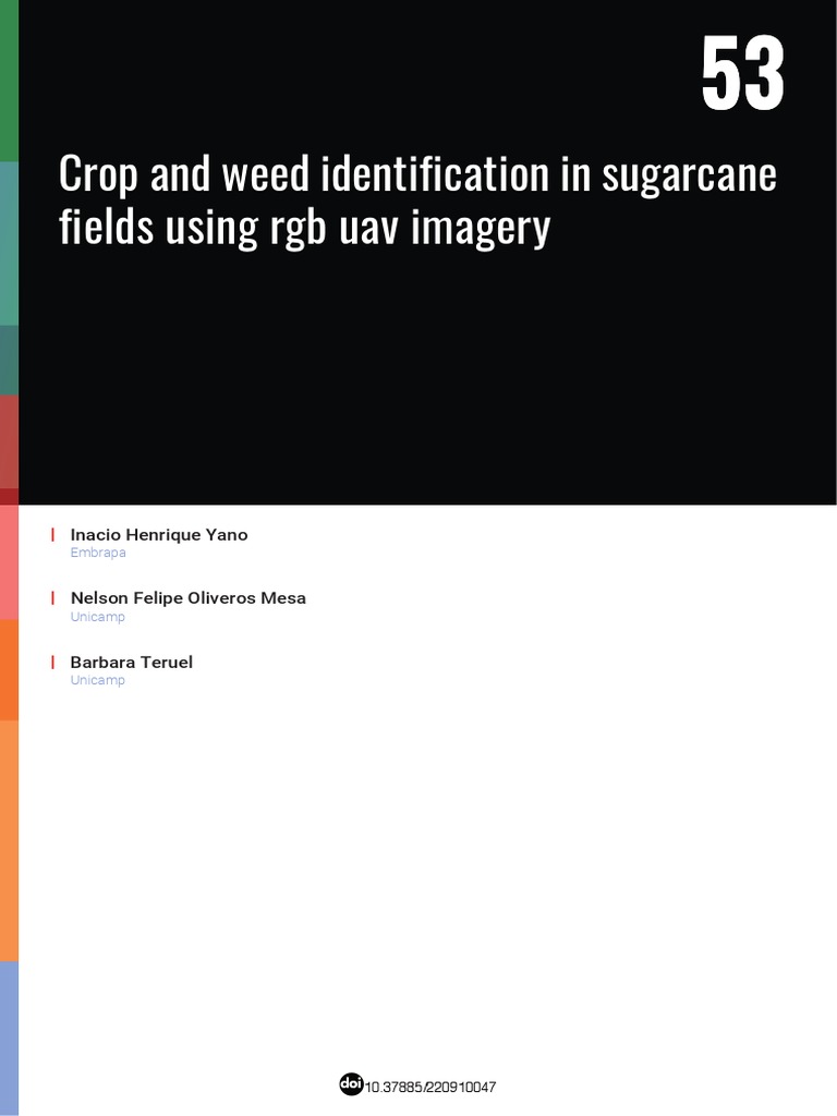 Crop and Weed Identification in Sugarcane Fields Using RGB Uav Imagery ...
