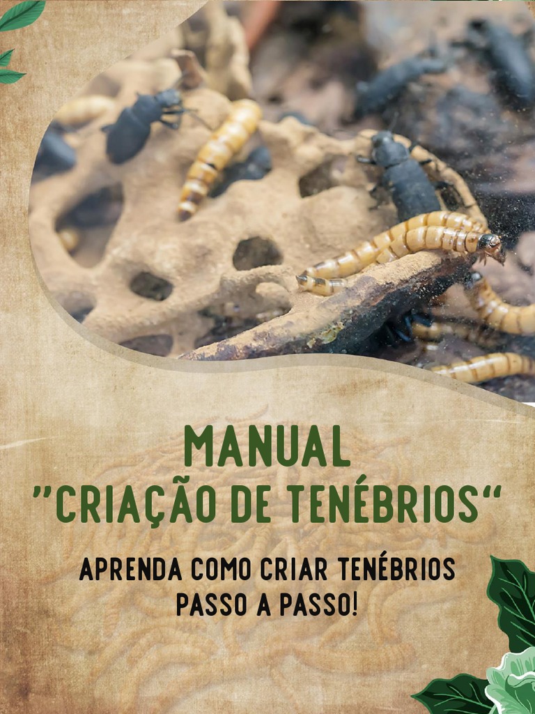 File 114274 MANUALCRIAÇÃODETENÉBRIOS 20210524 184442 | PDF
