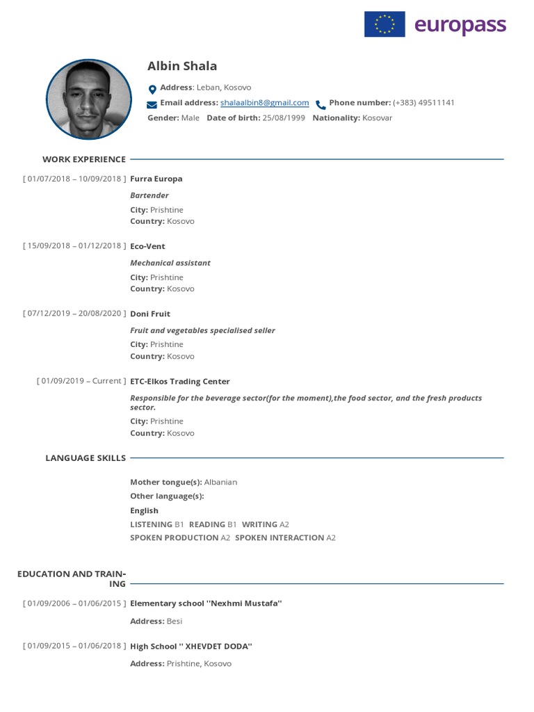 Al CV | PDF