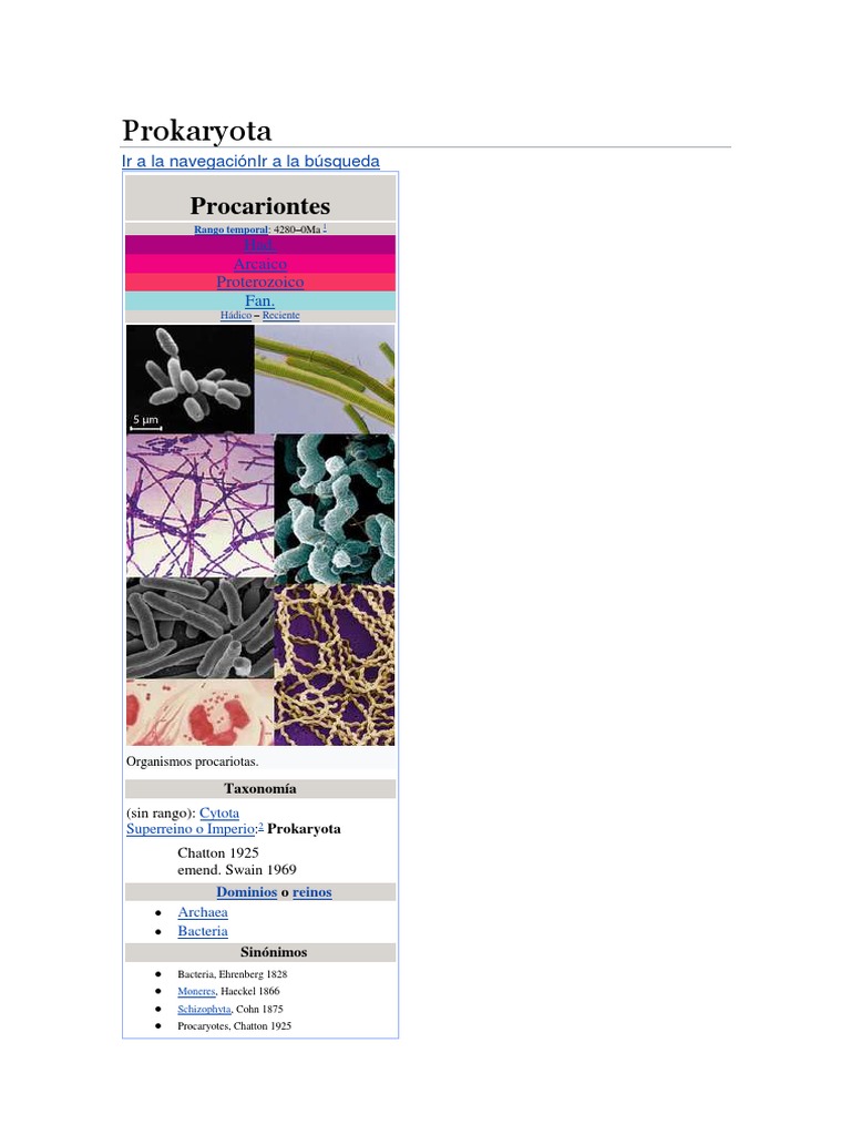 Prokaryota | PDF | Procariota | Las bacterias